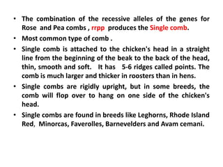 GENE INTERACTIONS SMG | PPTX