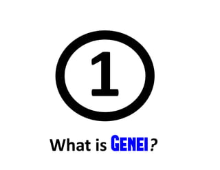 GENEI Overview | PDF