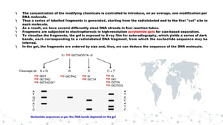 GENE ISOLATION AND SEQUENCING.pdf
