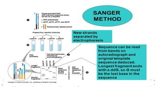 GENE ISOLATION AND SEQUENCING.pdf