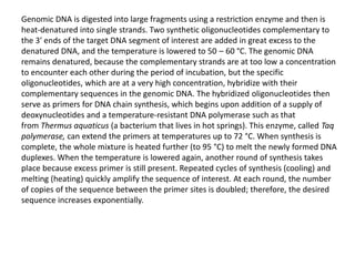 Gene isolation methods | PPTX