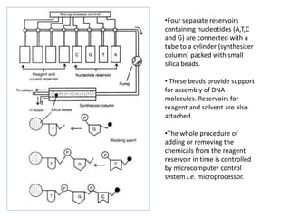 Gene isolation methods | PPTX