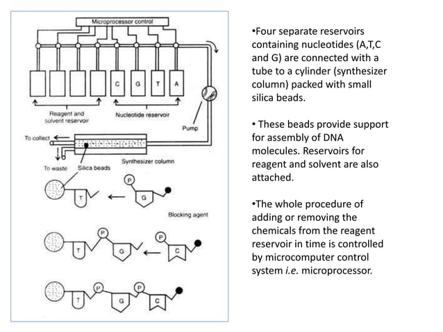 Gene isolation methods | PPTX | Biological Sciences | Science
