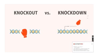 Gene knockdown by Dr. Yasmeen Abdulhadi, BDS.pptx