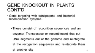 Gene knockout | PPTX