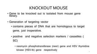 Gene knockout | PPTX