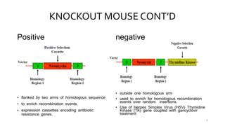 Gene knockout | PPTX