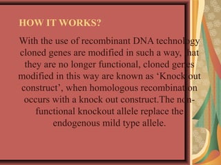 Gene knockout | PPT