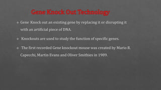 Gene knockout | PPT