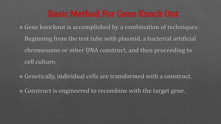 Gene knockout | PPTX
