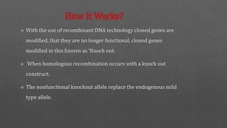 Gene knockout | PPTX