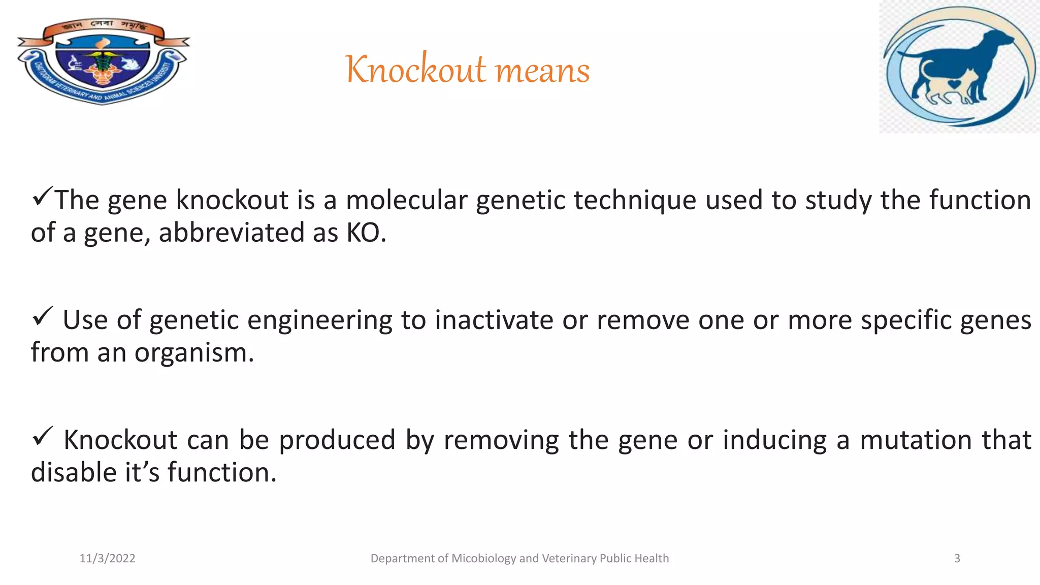GENE KNOCKOUT.pptx
