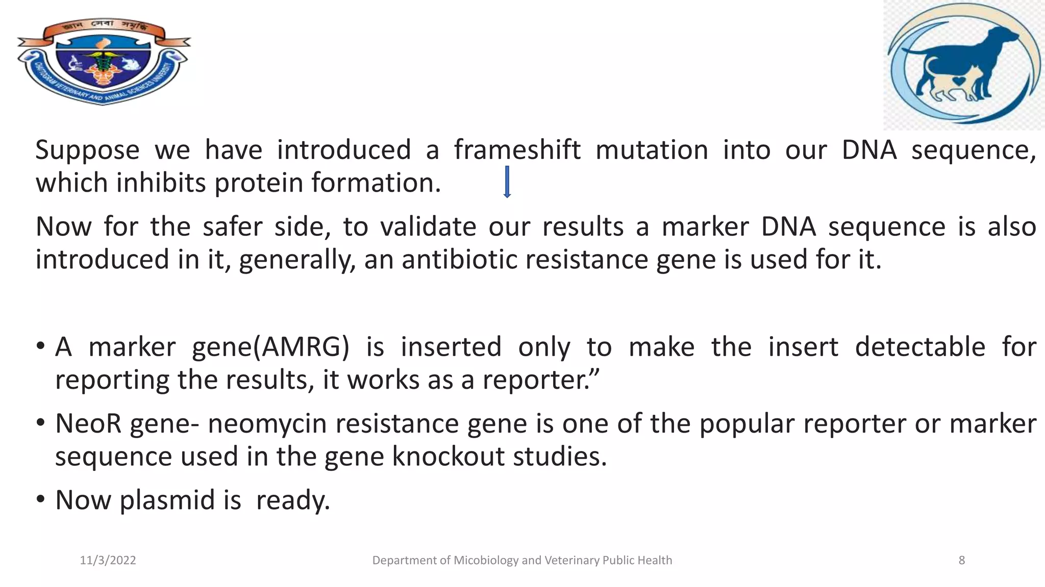GENE KNOCKOUT.pptx