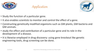 GENE KNOCKOUT.pptx