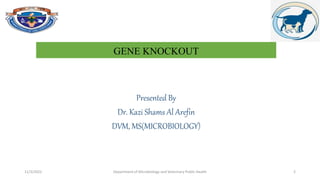 GENE KNOCKOUT.pptx