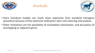 GENE KNOCKOUT.pptx