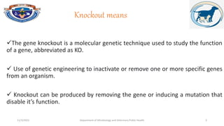 GENE KNOCKOUT.pptx