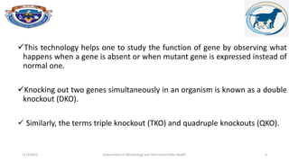 GENE KNOCKOUT.pptx