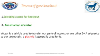 GENE KNOCKOUT.pptx