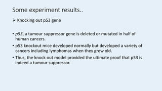 Gene knockout animal models | PPTX