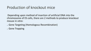 Gene knockout animal models | PPTX