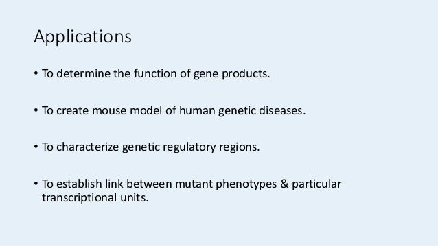 Gene knockout animal models
