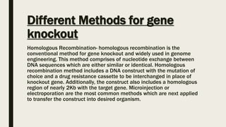 GENE KNOCKOUT | PPTX