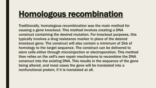 GENE KNOCKOUT | PPTX