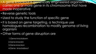 Gene knockout in mice | PDF