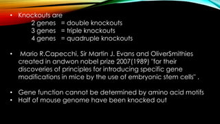 Gene knockout in mice | PDF
