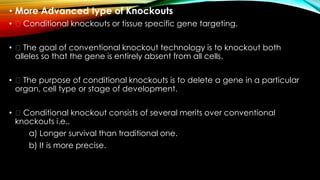 Gene knockout in mice | PDF