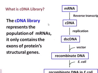 Gene libraries | PPTX
