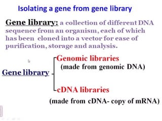 Gene libraries | PPTX