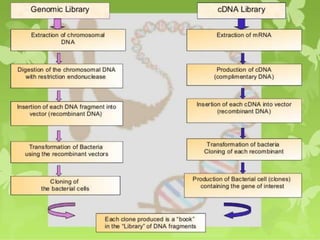 Gene library | PPT