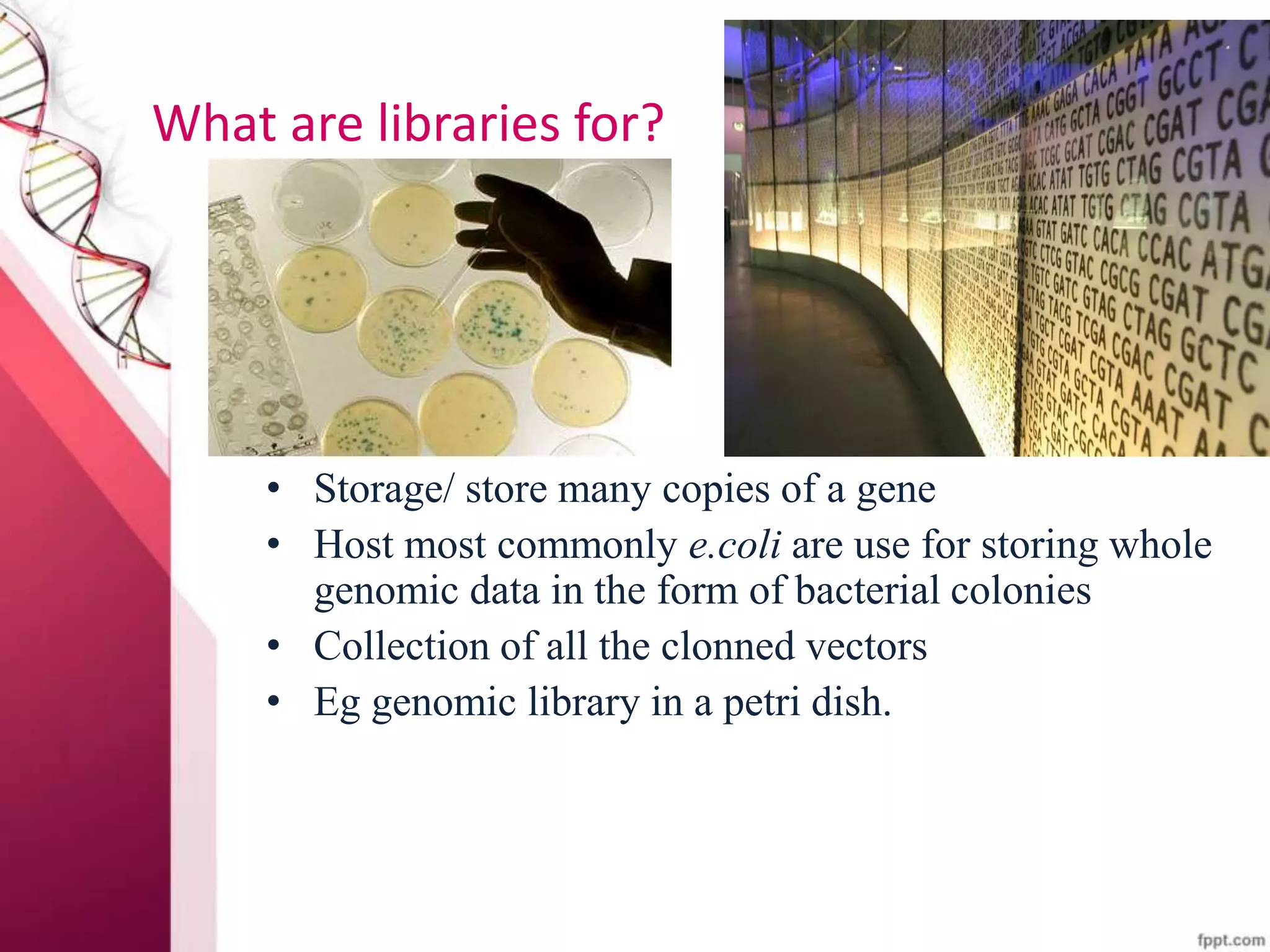 Genomic library construction | PPTX