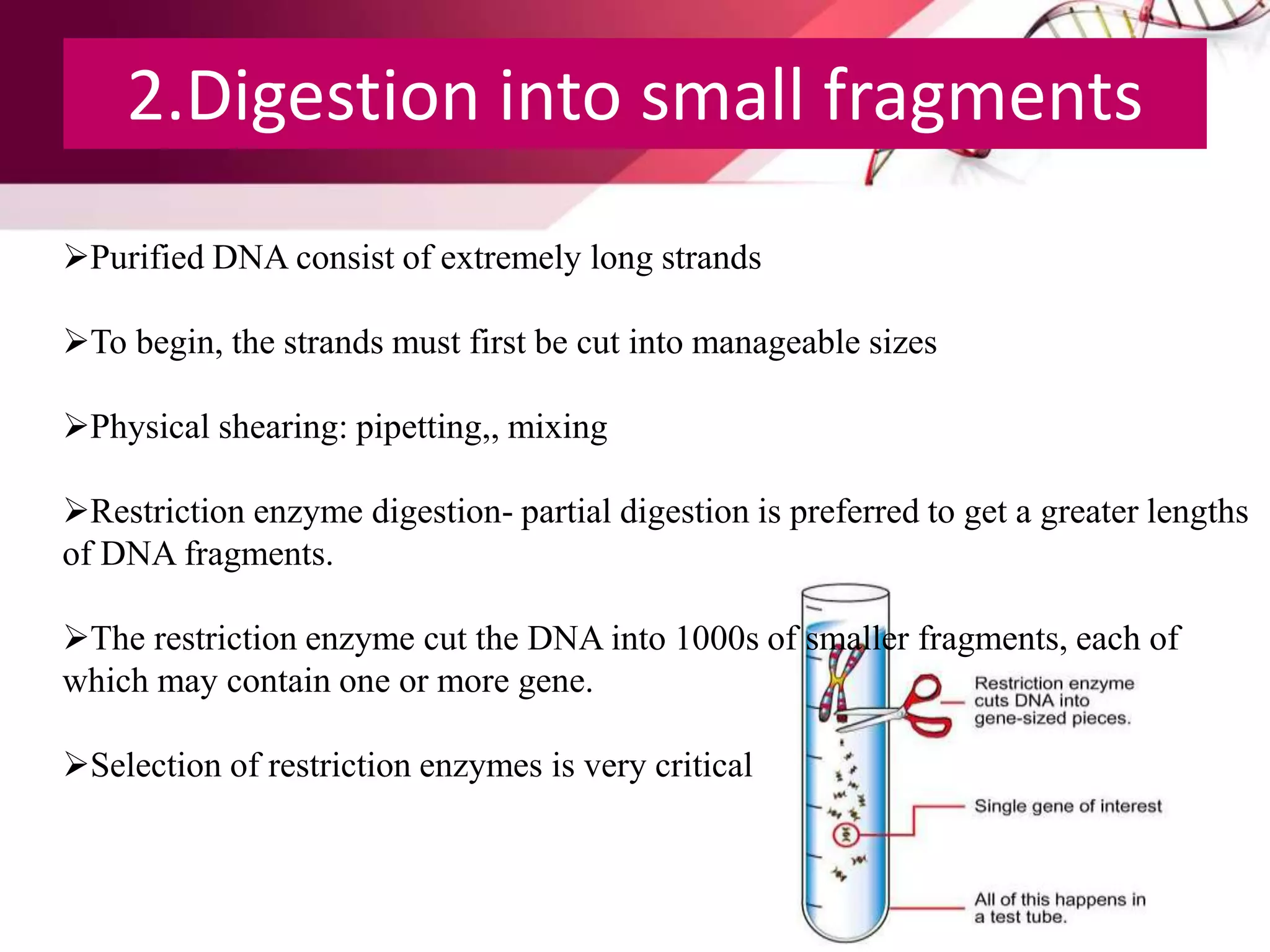 Genomic library construction | PPTX