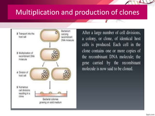 Genomic library construction | PPTX
