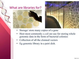 Genomic library construction | PPTX