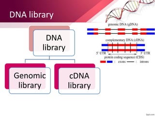 Genomic library construction | PPTX