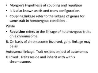 Gene linkage | PPTX