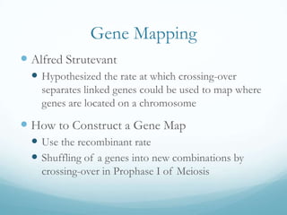 Genelinkagemap | PPT
