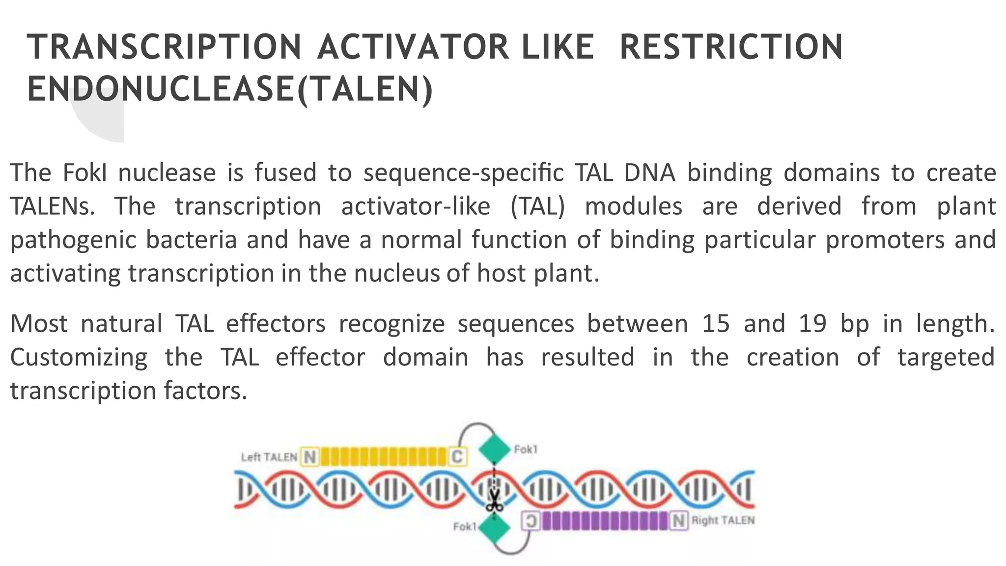 Gene manipulation (2).pptx