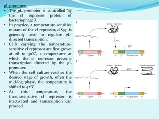 Gene Manupulation1 (For the students of biological faculty).pdf