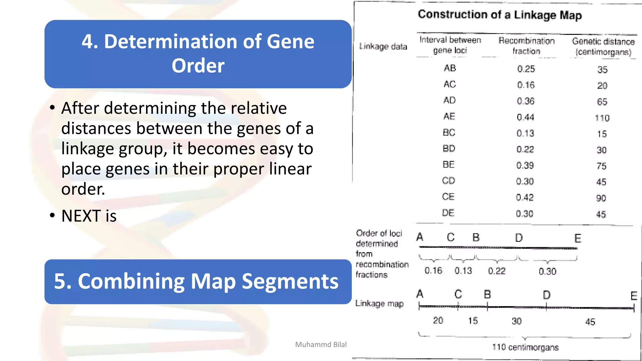 Gene mapping / Genetic map vs Physical Map | determination of map ...