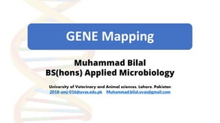 Gene mapping / Genetic map vs Physical Map | determination of map ...