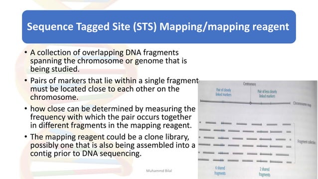 Gene mapping / Genetic map vs Physical Map | determination of map ...