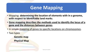 Gene mapping / Genetic map vs Physical Map | determination of map ...
