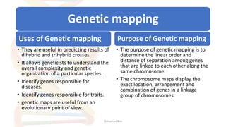 Gene mapping / Genetic map vs Physical Map | determination of map ...