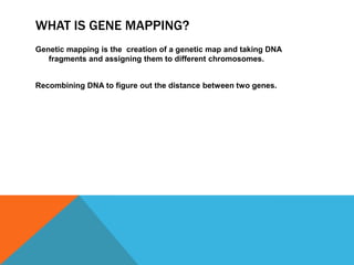 Gene mapping | PPTX