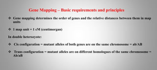 Gene mapping | PPTX